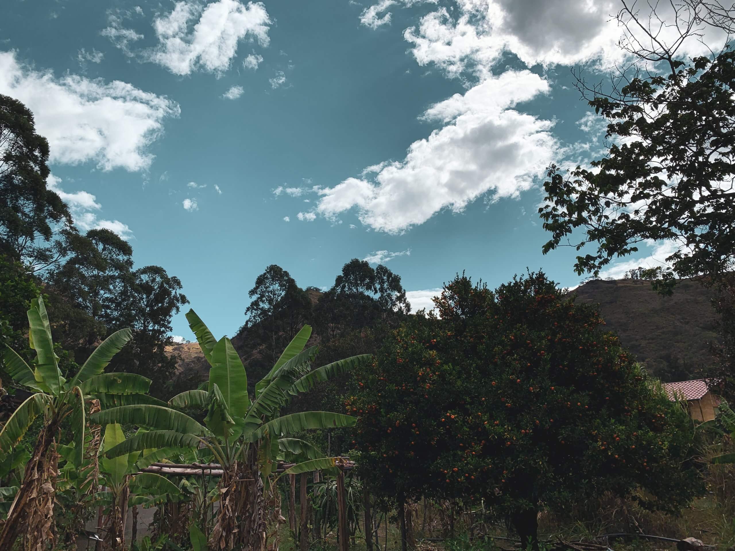 The Law of Responsibility - MARIEandMARTIN